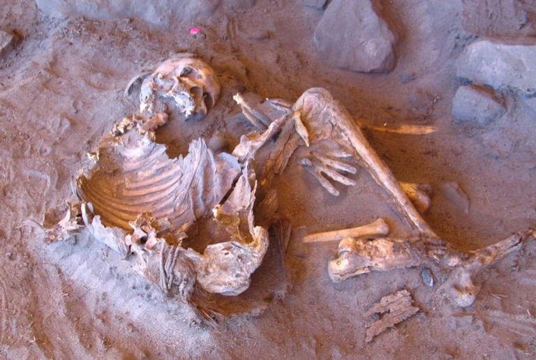 Previously Unknown Human Lineage Lived In The Sahara When It Was Green