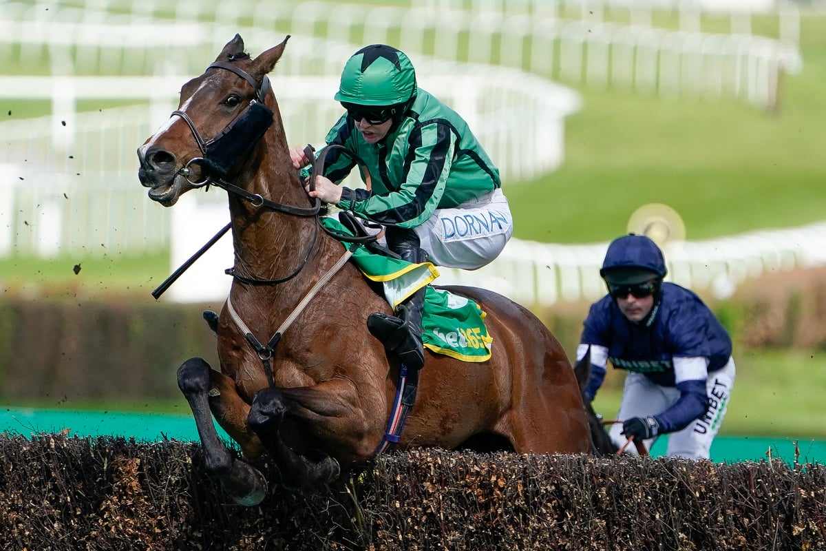 Grand National 2025 tips: Hewick ticks all the boxes today to complete ...