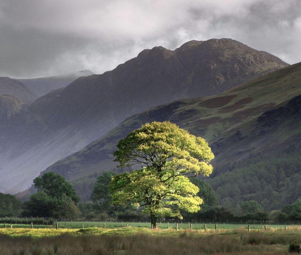 Festival of Outdoor Photography: Charlie Waite confirmed, save on tickets!