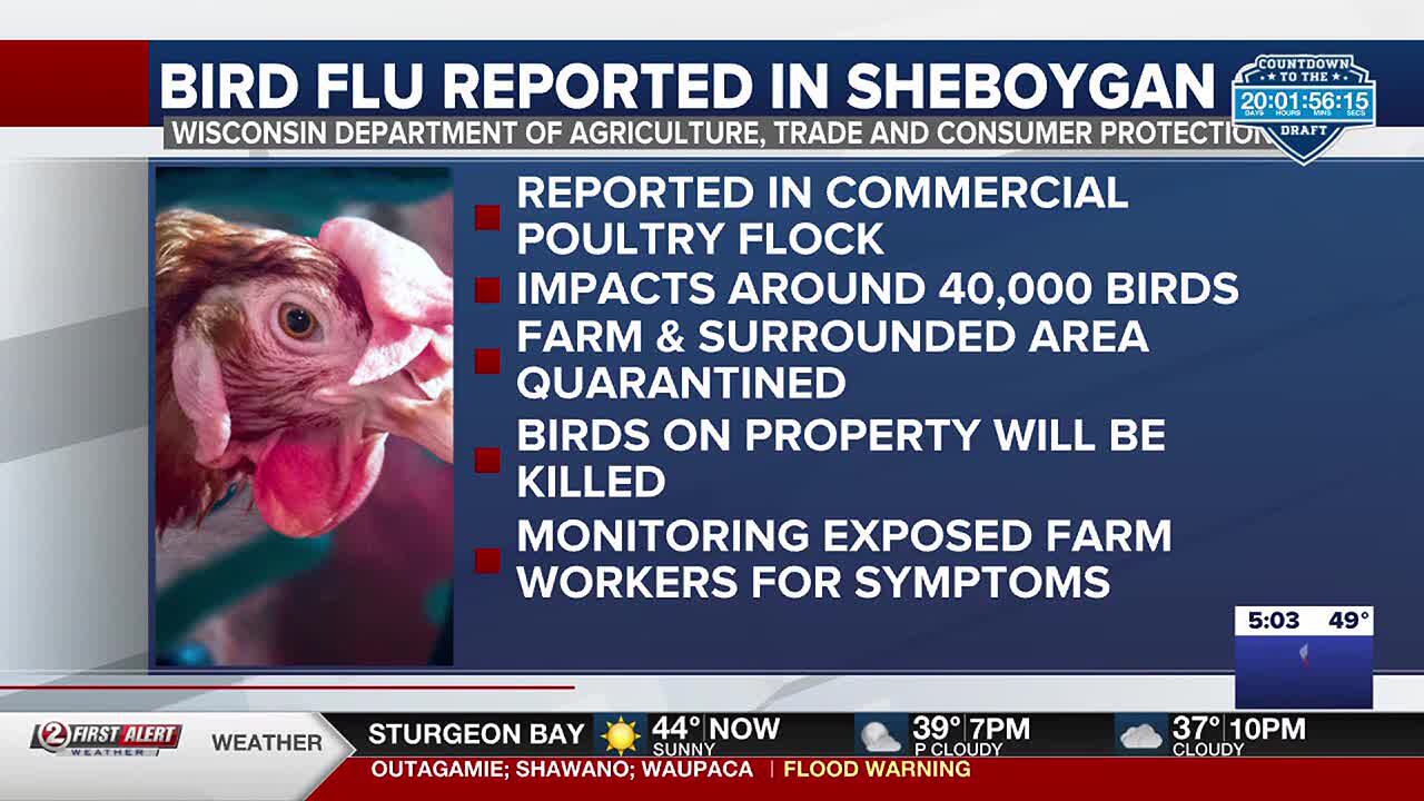 Wisconsin DATCP identifies bird flu in Sheboygan County commercial ...