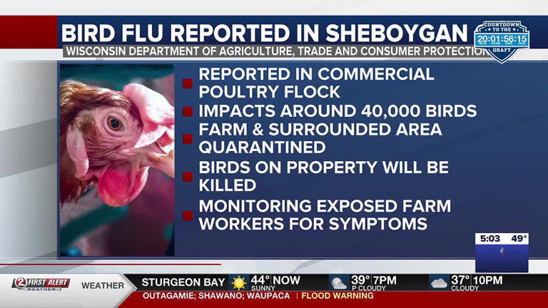 Wisconsin DATCP identifies bird flu in Sheboygan County commercial ...