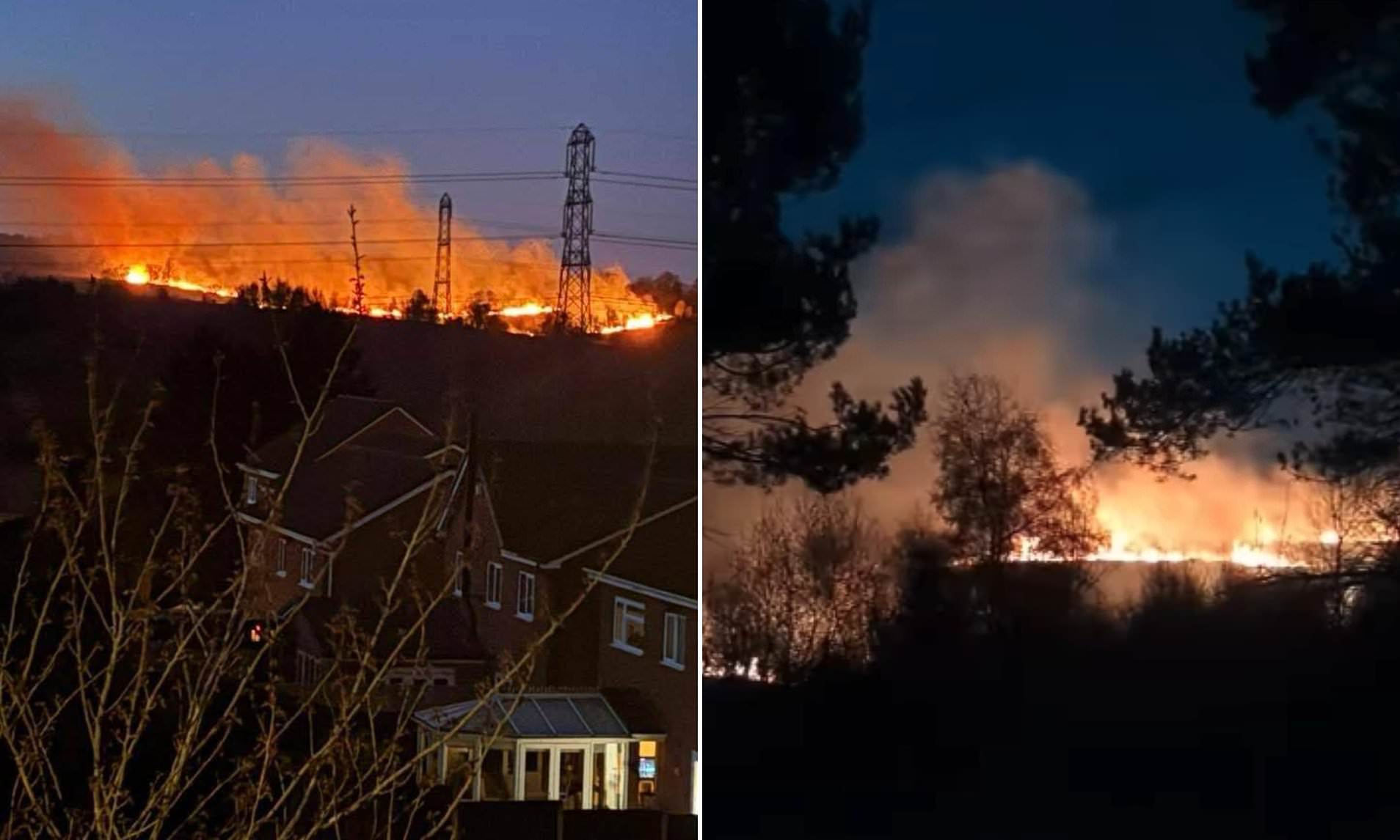 Dramatic images show huge blaze 'spreading rapidly' at wildlife spot