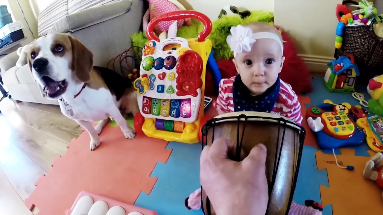 Dog and baby start rock band hilariously together