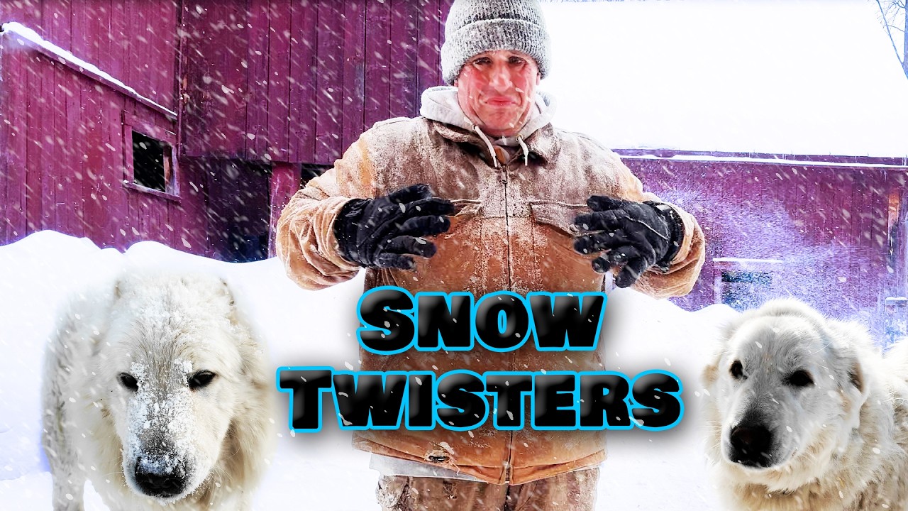 Ground blizzard buries farm under heavy snow and ice