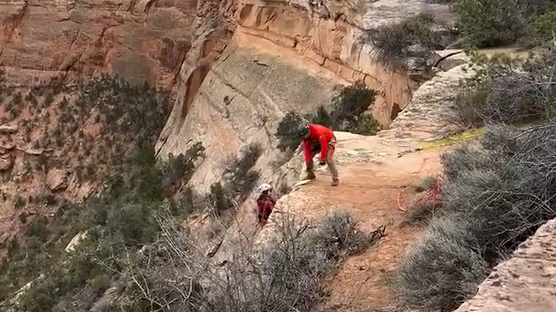 Watch dog's rescue from canyon after miraculously surviving 100-foot fall