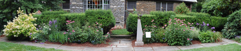 Planting a hedgerow? Here are 6 tips and tricks to know about how to ...