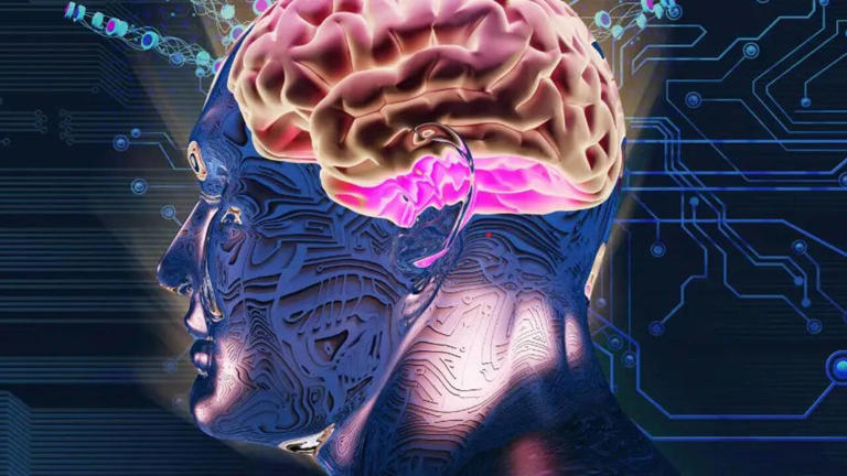 Eat These 8 Foods To Keep Brain Healthy