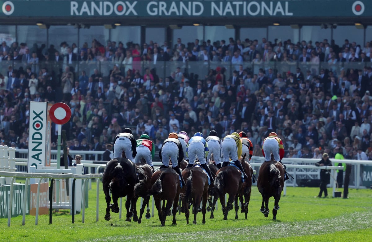 Grand National 2025: Full list of runners and horse-by-horse guide of ...