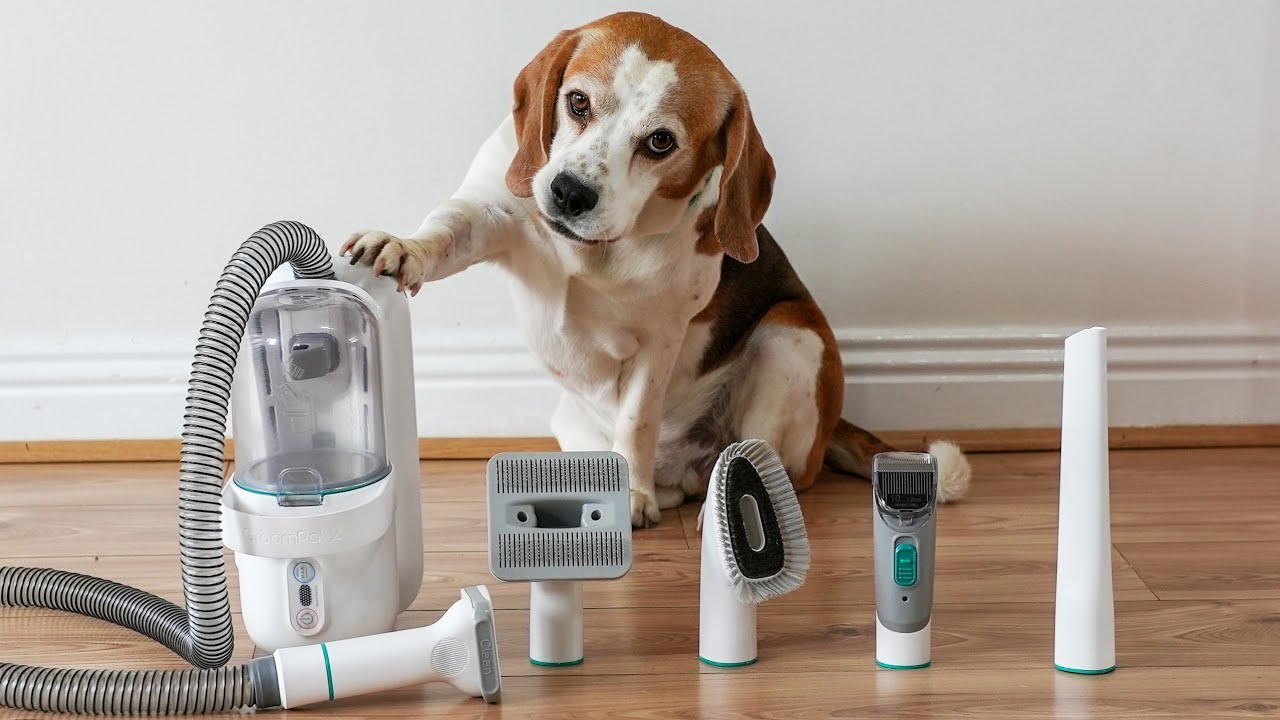 Beagles test Neabot P1 Pro to manage dog hair easily