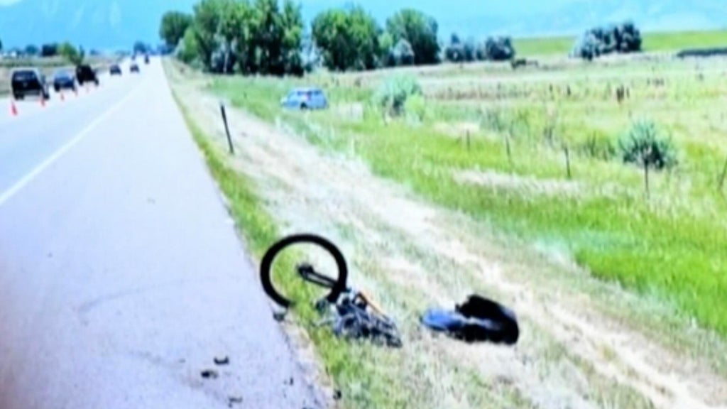 Guilty verdict handed down in trial of driver who struck, killed ...