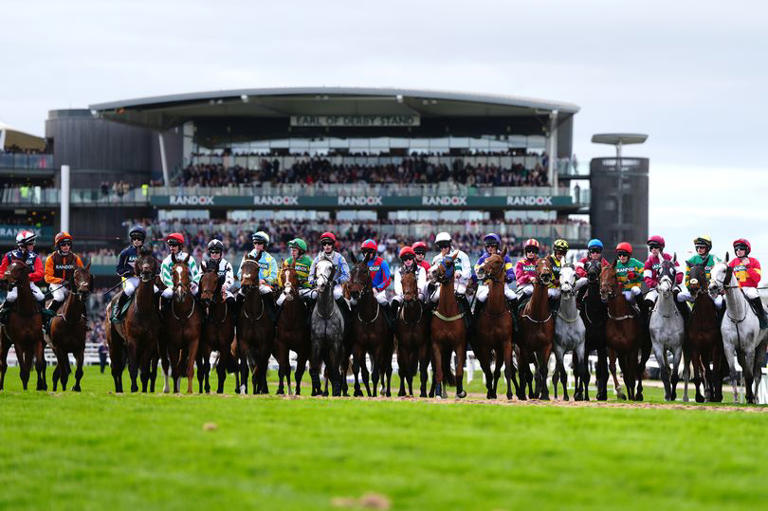 Grand National 2025 full race card and tips - list of runners at ...
