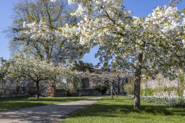 Best spring walks in Oxfordshire to enjoy in the sun