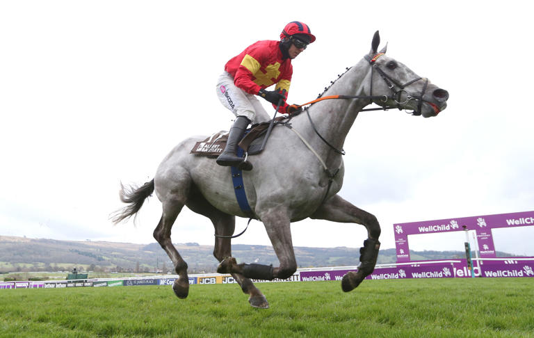 Grand National 2025 ones to watch: Hugely impressive Vanillier leads ...