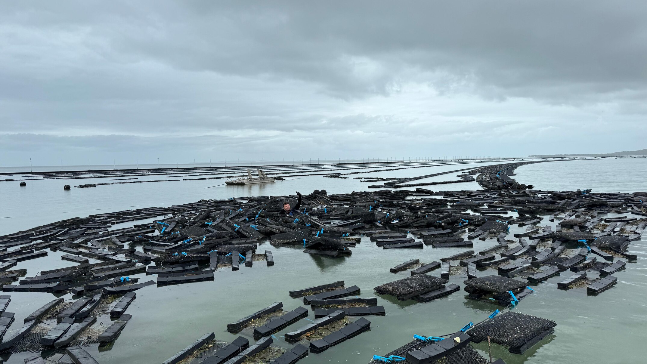 Moreton Bay oyster farm survives cyclone with help of wave wall innovation