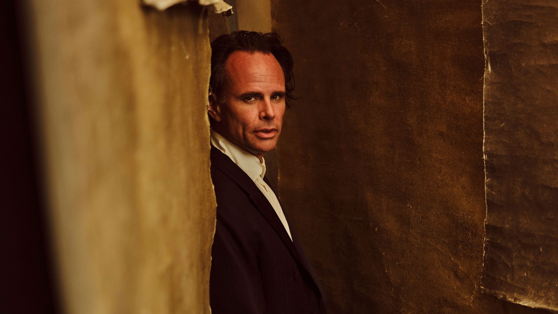Walton Goggins' magical 'snug room' is one of the coziest spaces I've ...