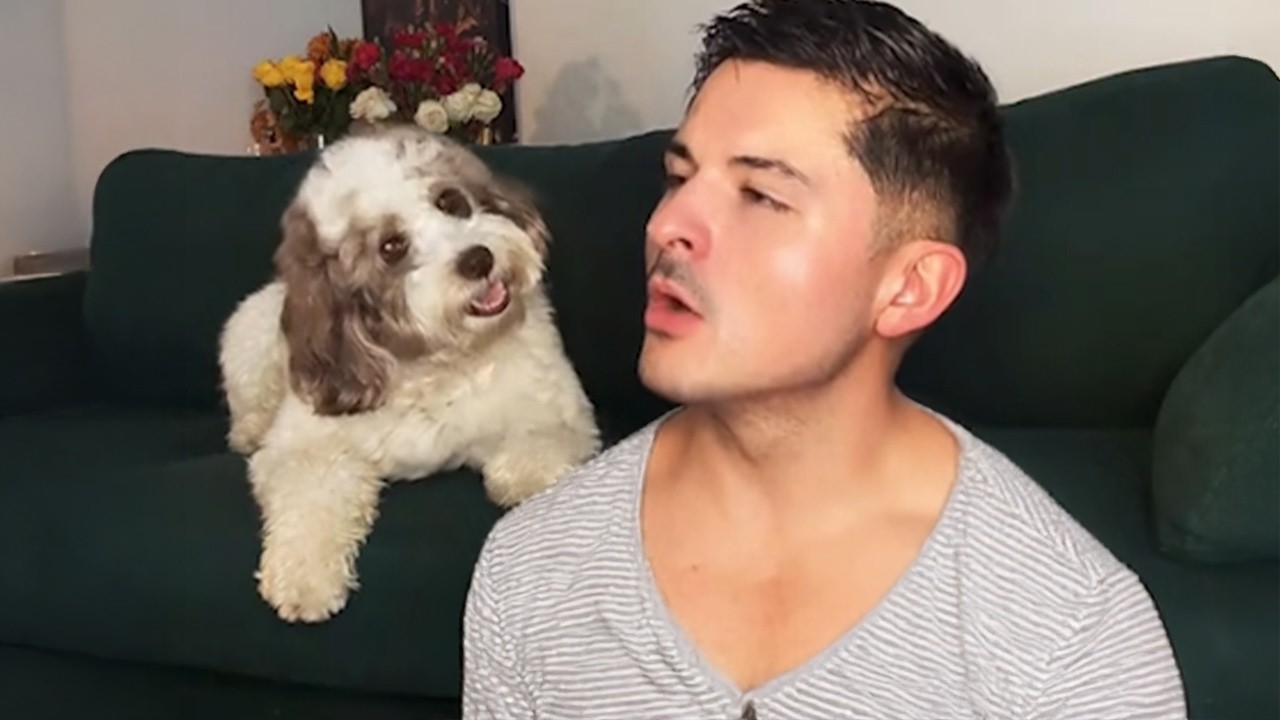Call your dog’s name and watch their hilarious reaction