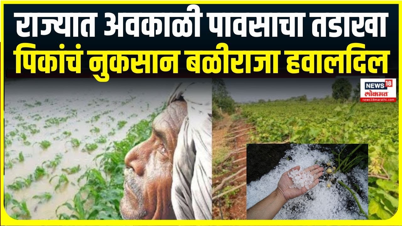 Avkali paus | राज्यात अवकाळी पावसाचा तडाखा, पिकांचं नुकसान बळीराजा हवालदिल | Unseasonal rain