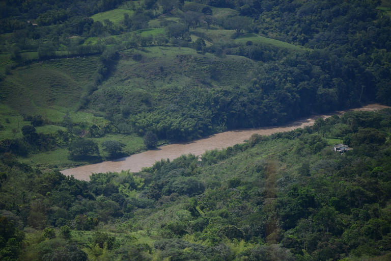 Alerta por el crecimiento del río Cauca: ¿qué dicen las autoridades?
