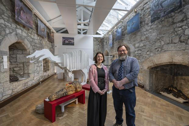 New free exhibition opens in Southampton exploring 200 million years of ...