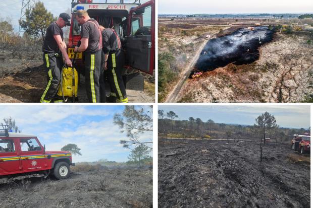 Somerton fire crews help fight devastating heathland blaze for nine hours