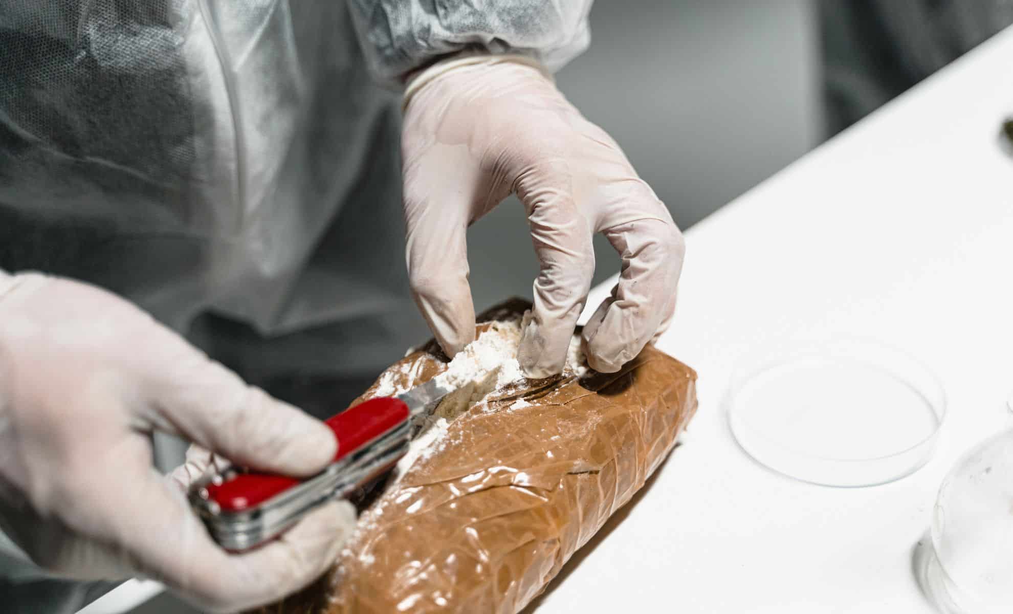 34 kg de cocaïne saisis par la police algérienne