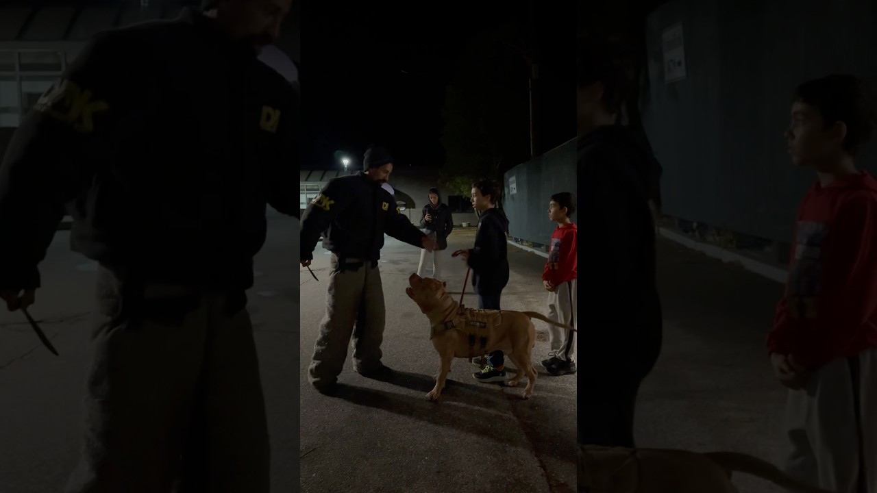 This dog’s protection instincts are truly incredible