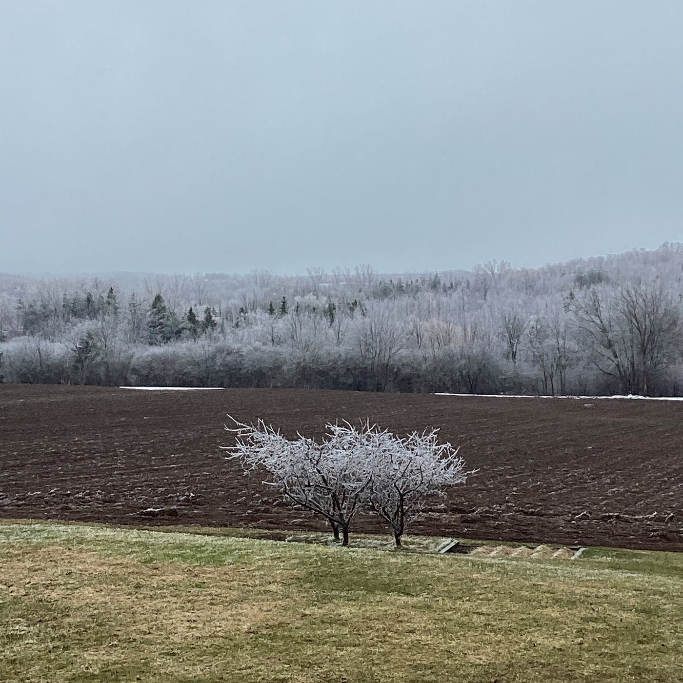 Tens of thousands still without power in Ontario after pair of storms Tens of thousands still without power in Ontario after pair of storms
