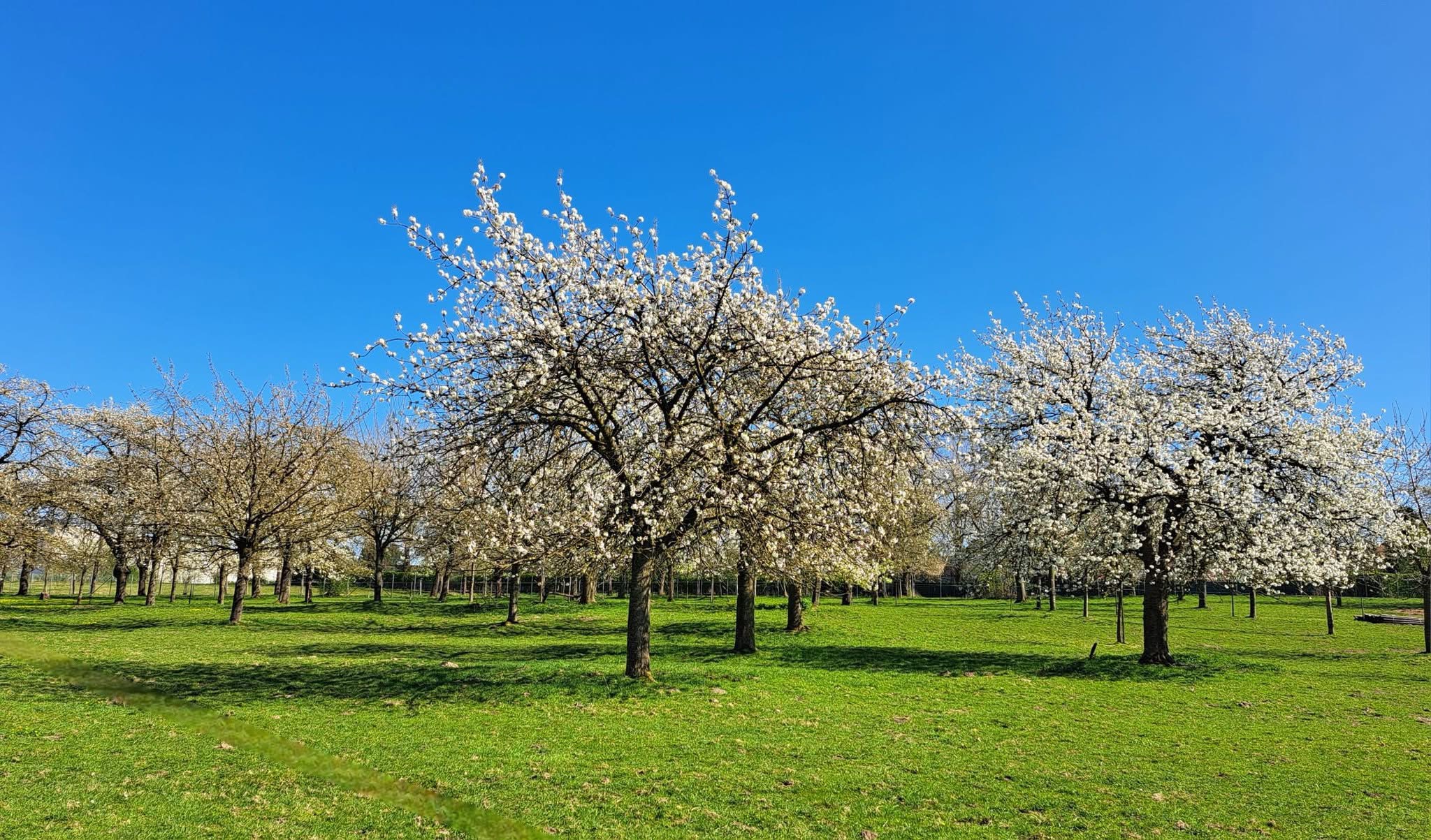 Winderige maar zonnige Ronde Van Vlaanderen