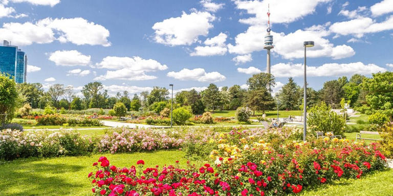 Klimafitte Grünanlage: Aus "Donaupark" wurde "DoWOW-Park"