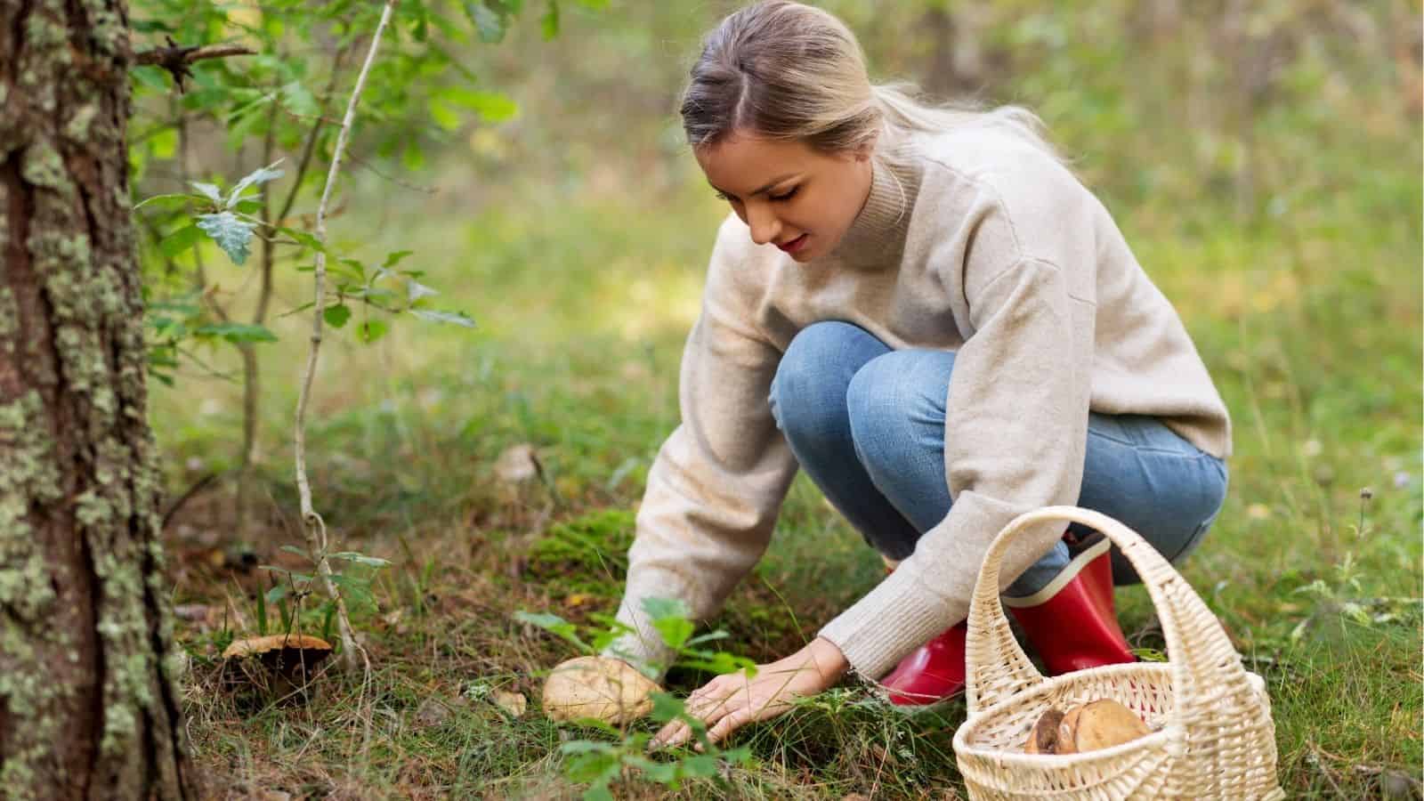 12 Foraging Finds That Might Be Growing in Your Backyard