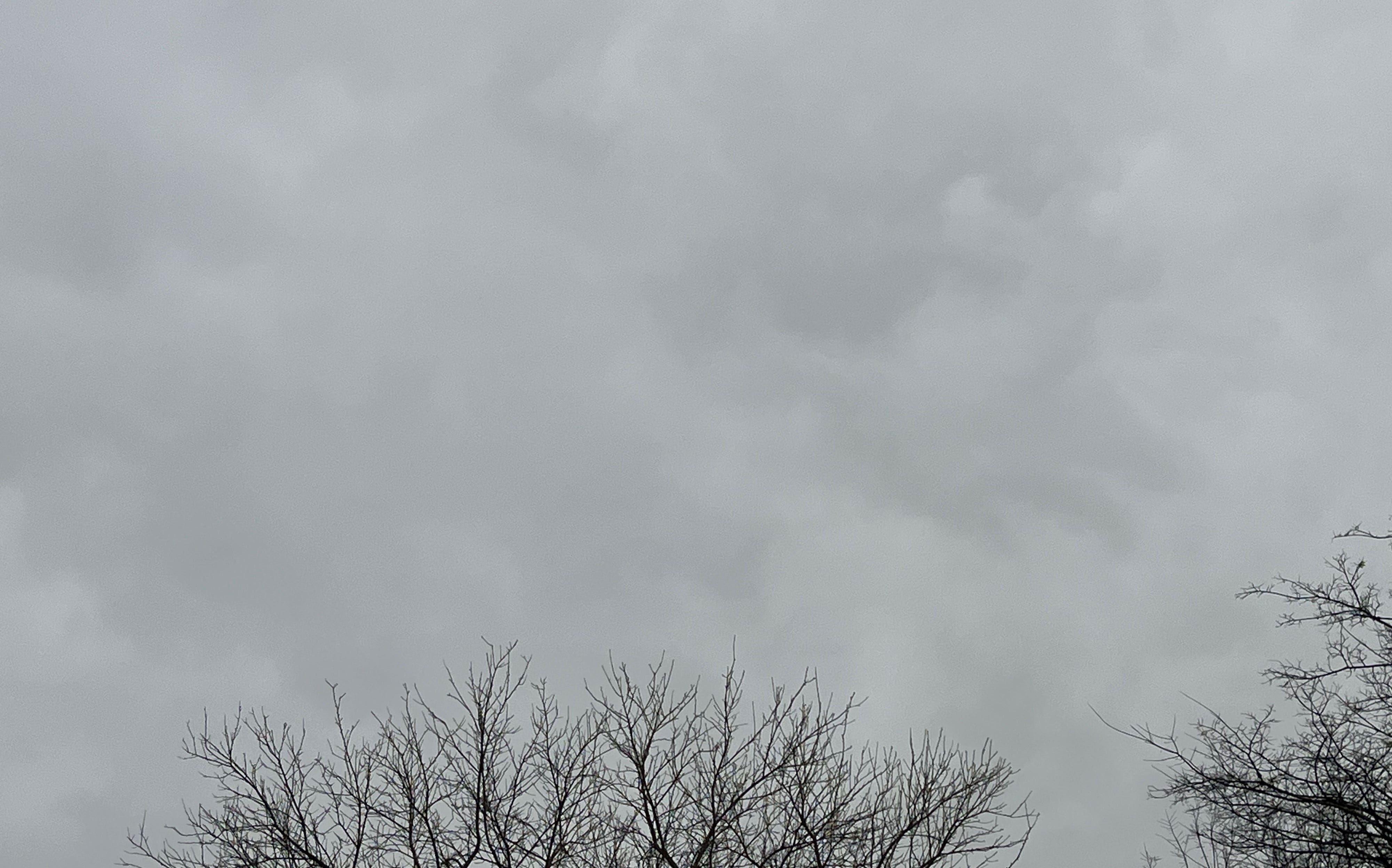 EF-1 tornado with 105 mph winds confirmed in Wilson County by National ...