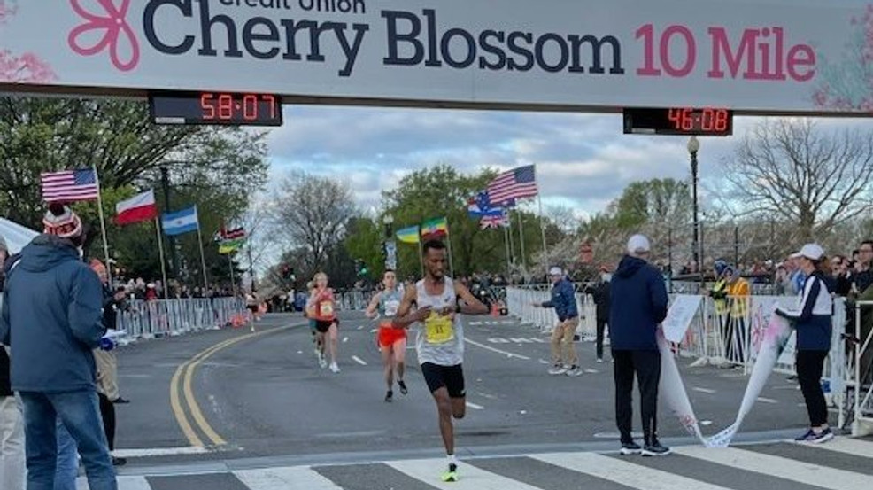 Cherry Blossom 10 mile, 5k race lottery opens