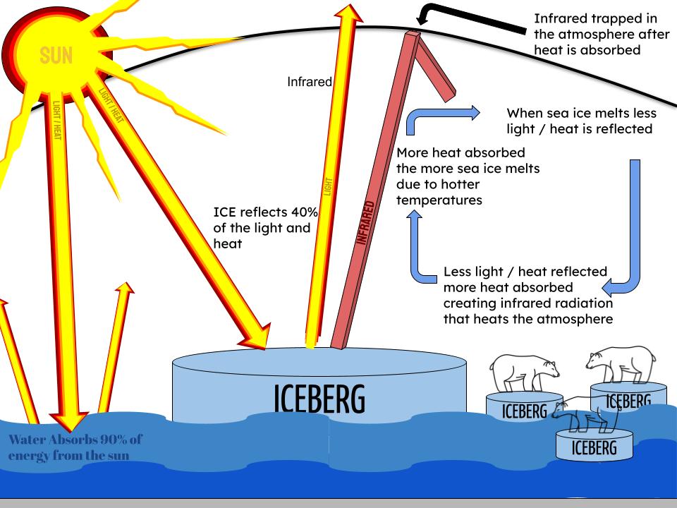 Space Missions Provide Critical Data on Earth's Changing Albedo