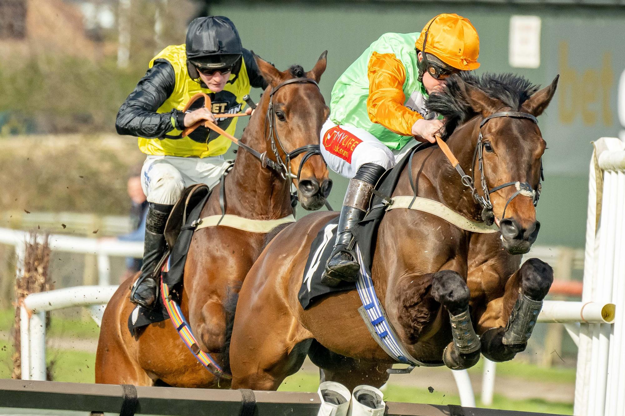 Plumpton: preview and tips for Sunday’s six-race jumps card