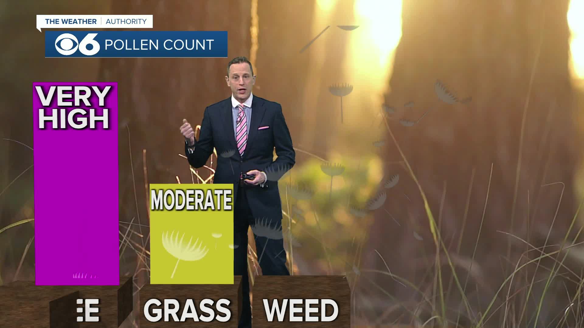 Saturday update on 'insane' pollen levels in Central Virginia