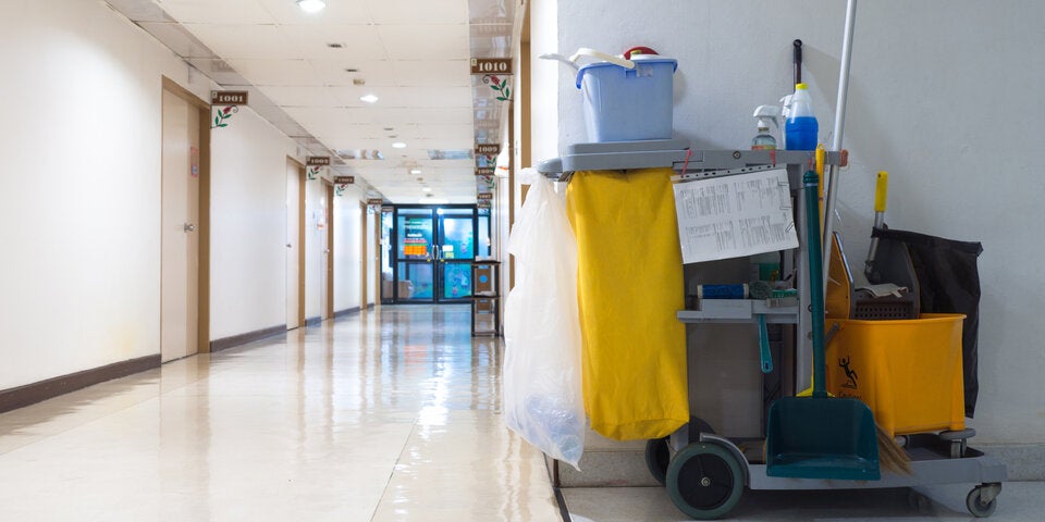 Ekel-Alarm im Spital: Schaben, Ratten und Silberfische