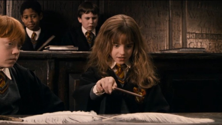 Every Main Character's Wand In Harry Potter Explained