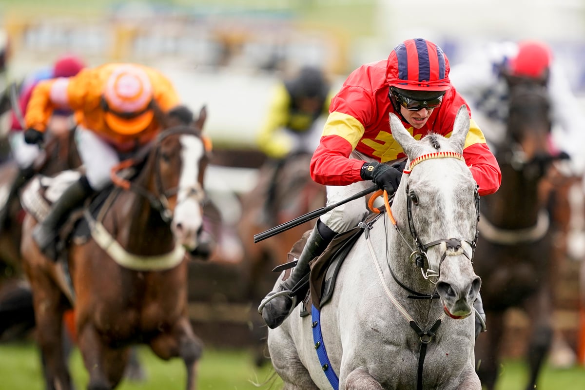 Grand National 2025 ones to watch: Hugely impressive Vanillier leads ...