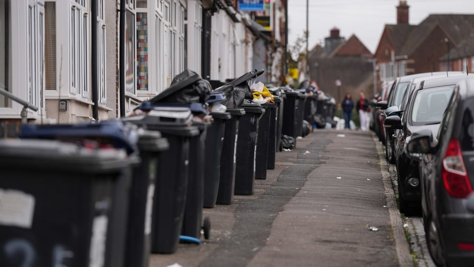 Rats ‘bigger than cats’ are roaming Britain’s second-biggest city as ...
