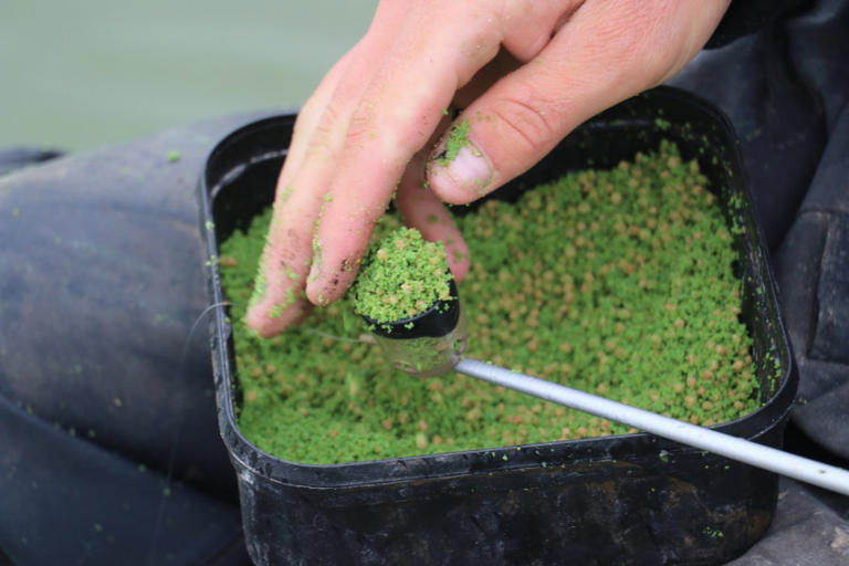 How to fish the mudline