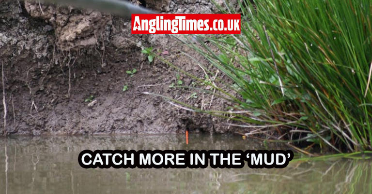 How to fish the mudline