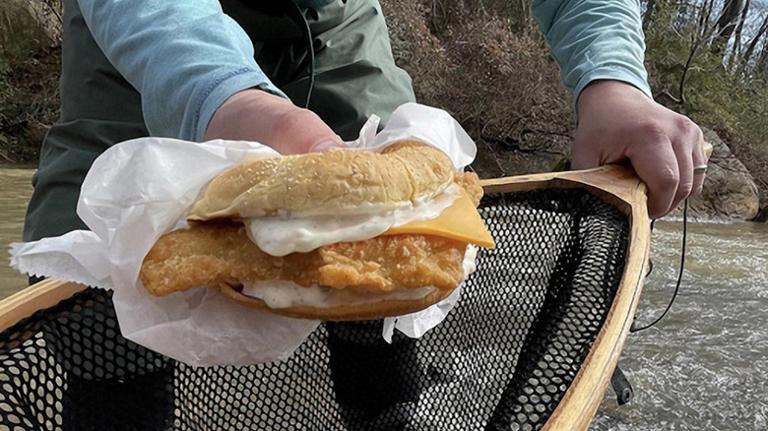 What Type Of Fish Is In Bojangles Fish Sandwich?