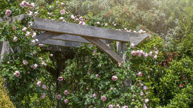 Garden arbor ideas – 12 stylish designs to frame pathways and shelter ...