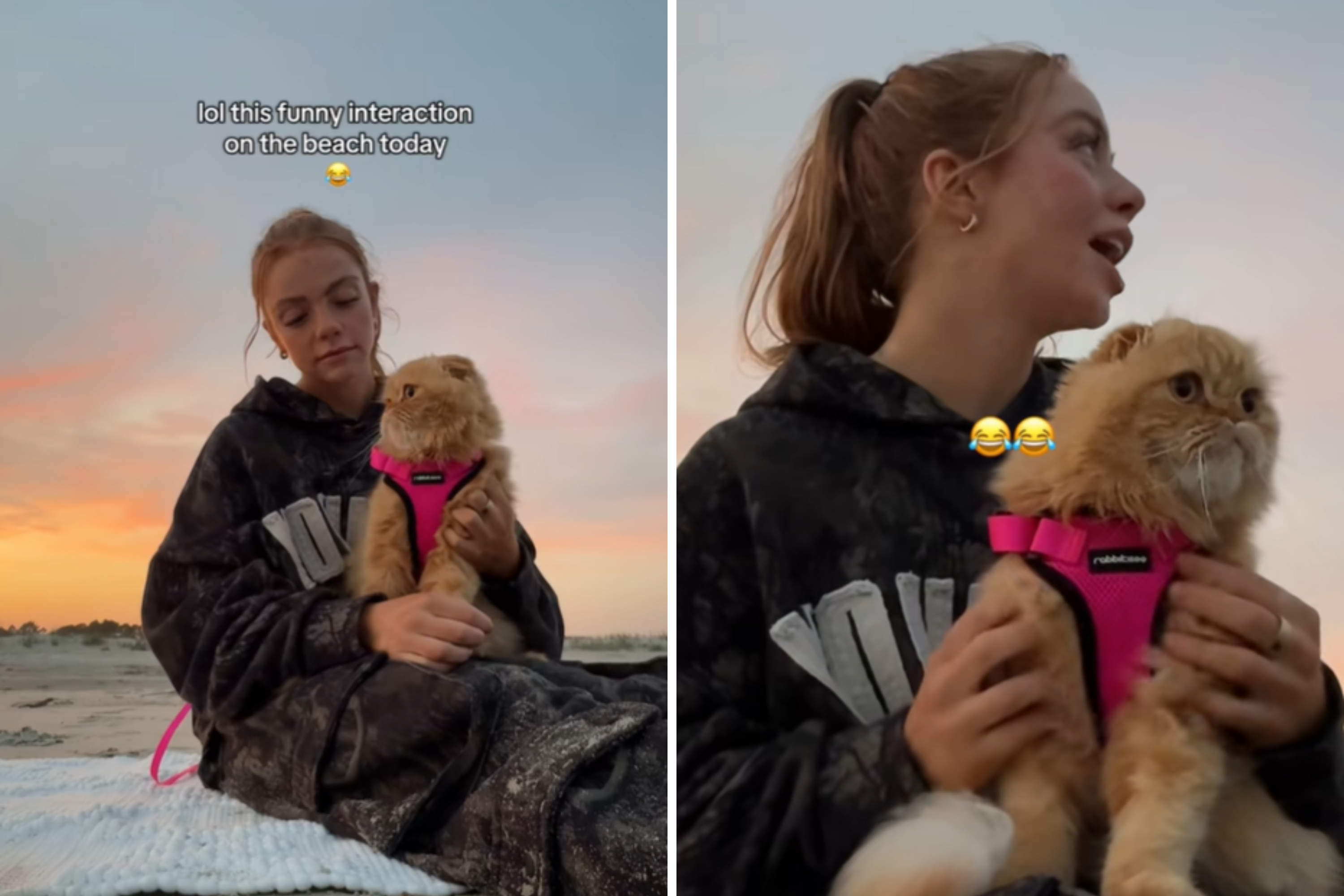 Woman and Cat Approached by Stranger at Beach—Unprepared for What He Asks