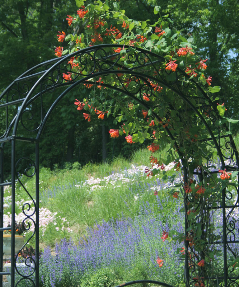 Garden arbor ideas – 12 stylish designs to frame pathways and shelter ...