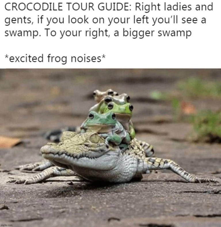 34 Hilariously Unhinged Wild Animal Memes You Didn’t Know You Needed Today