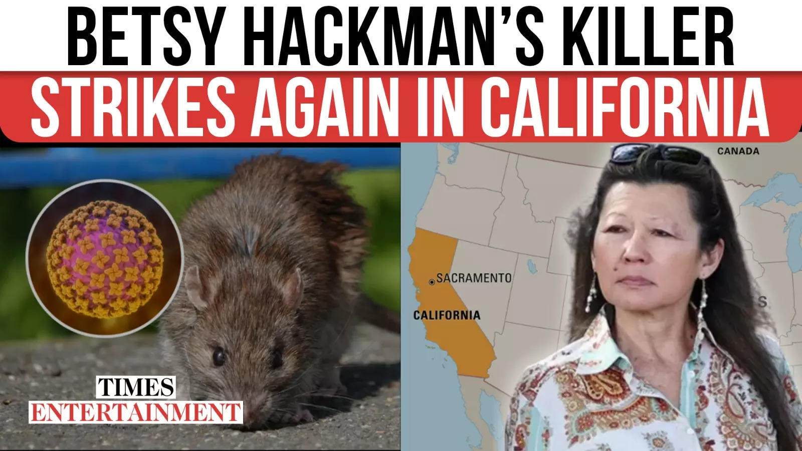 DEADLY Pattern EMERGES After Gene Hackman’s Wife Betsy’s TRAGIC End ...