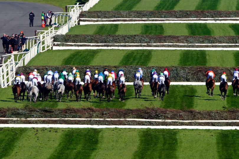 Grand National 2025 result in full: Where did my horse finish in ...