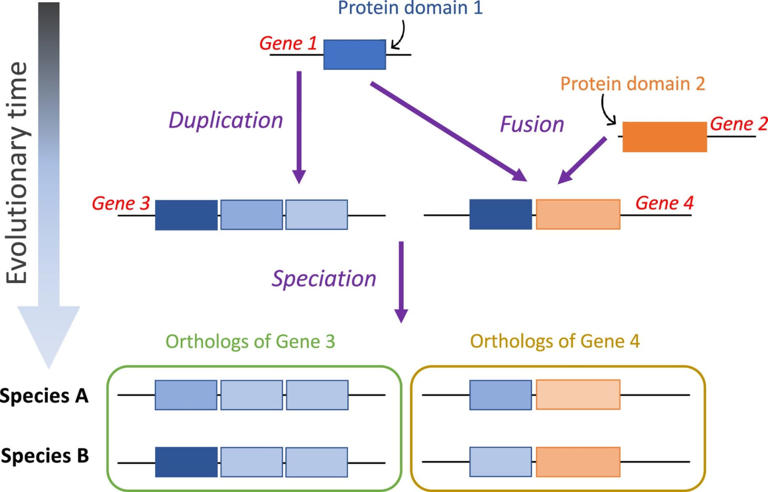 Existing models of genetic code evolution need revision, study finds