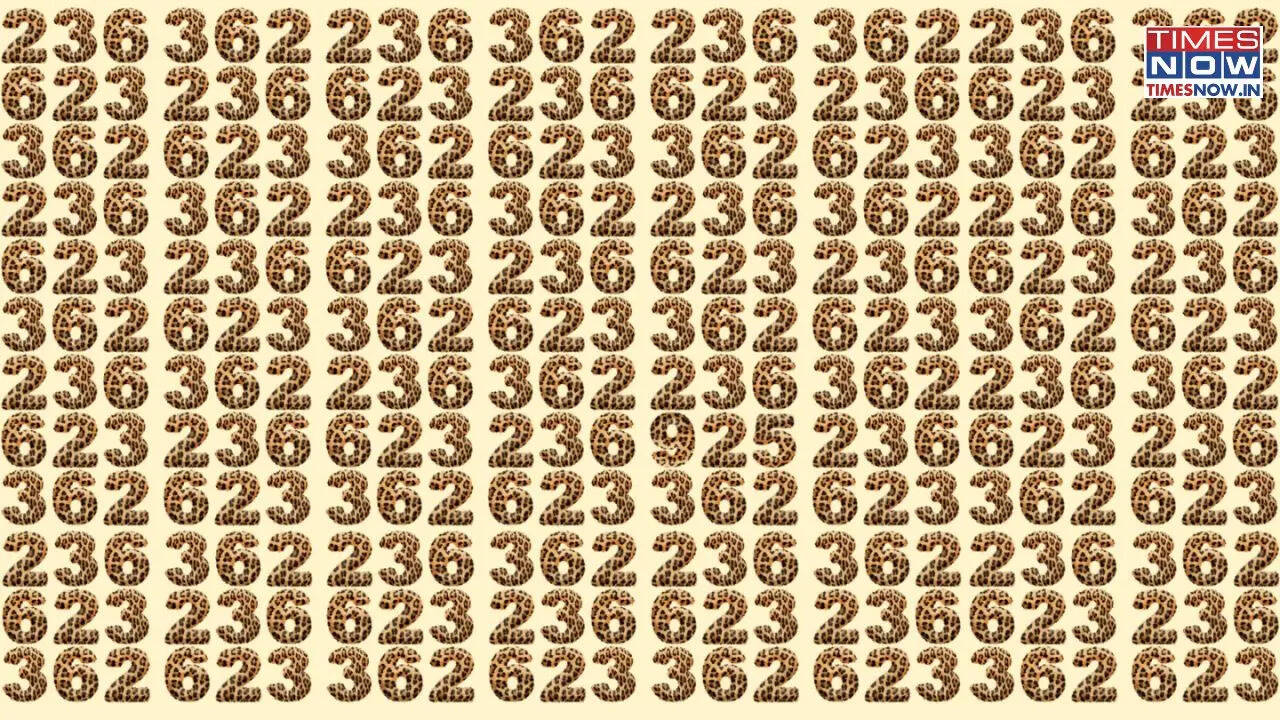 Optical Illusion Eye Test: In A Sea Of Identical Pairs, Find The Lone 925